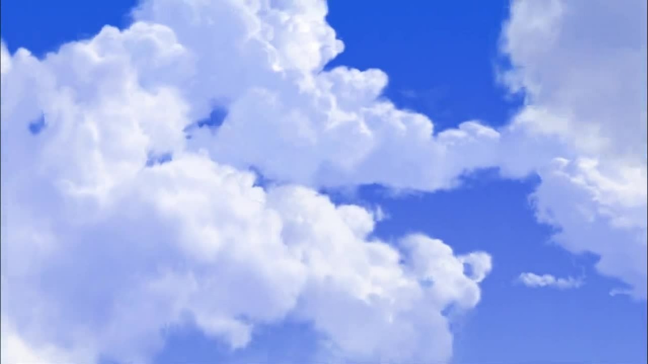 Pada Shrek 2007 - CDA